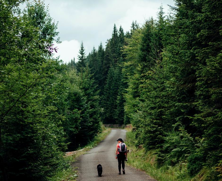 Holidays in the Polish mountains. Where to stay in South Poland ...